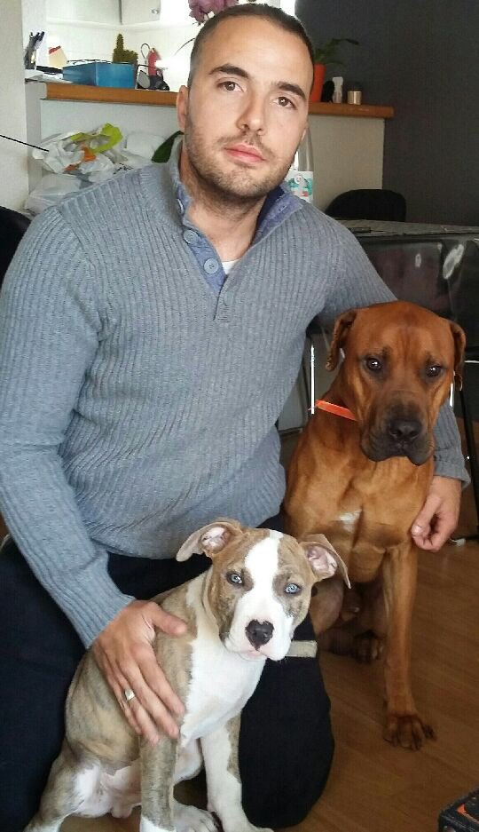 Mathieu est éducateur canin, un métier qui a du chien