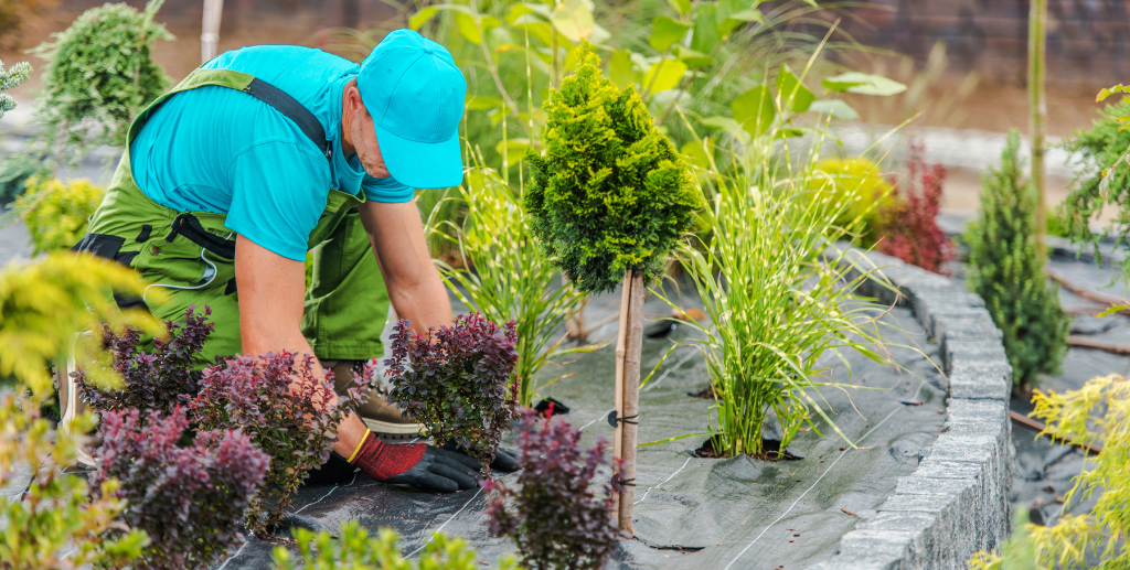 Espaces verts : 6 idées de métiers au cœur de la nature