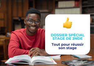 Stage de 2nde : le guide ultime pour réussir